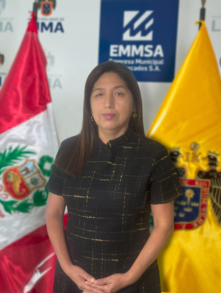 Estructura Orgánica – Web Emmsa